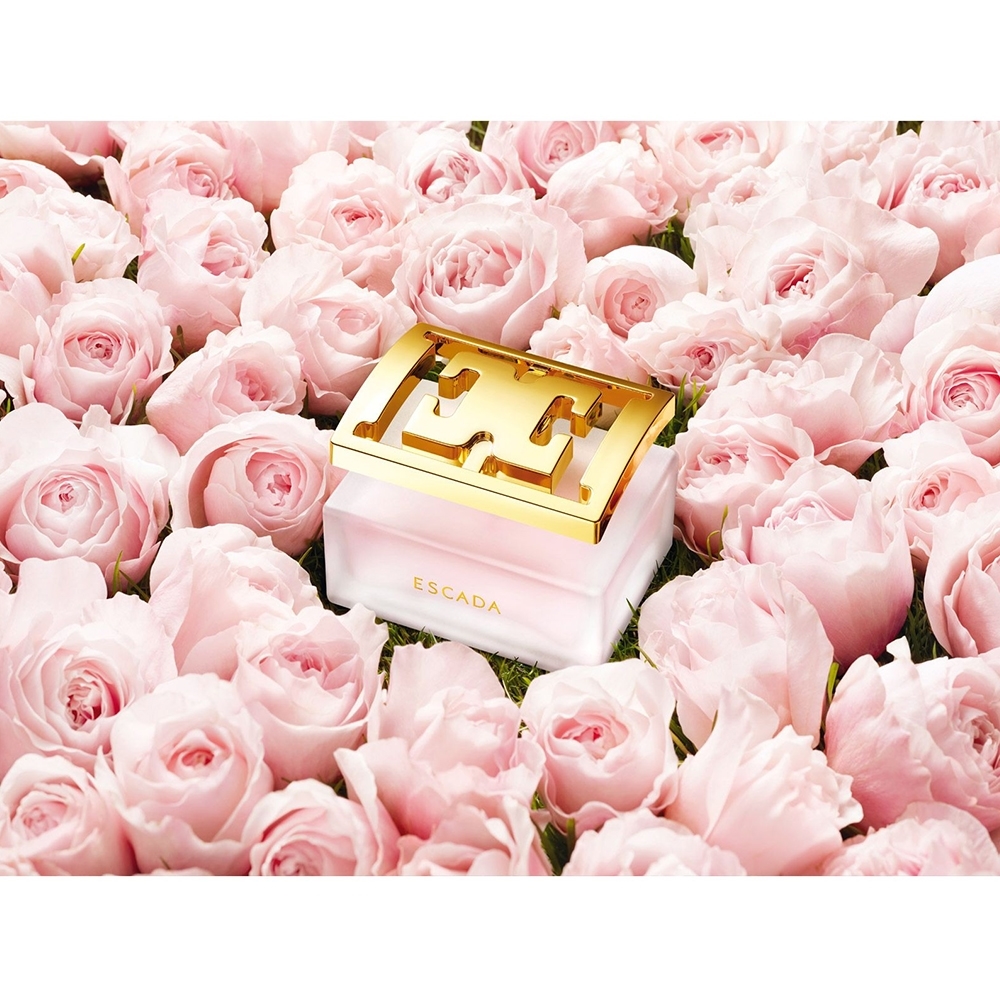 Nop Pavilion Responsive Theme. Especially Escada Perfume